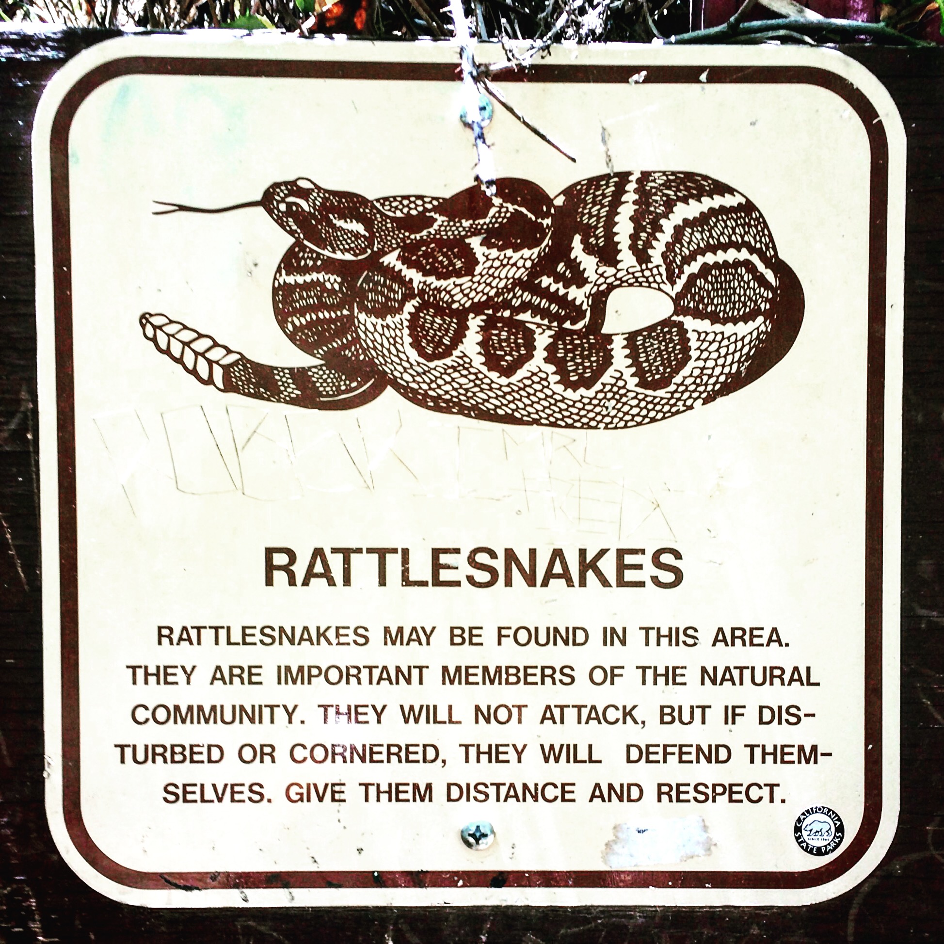 Snake, Rattle Can, Roll – The Reptile House