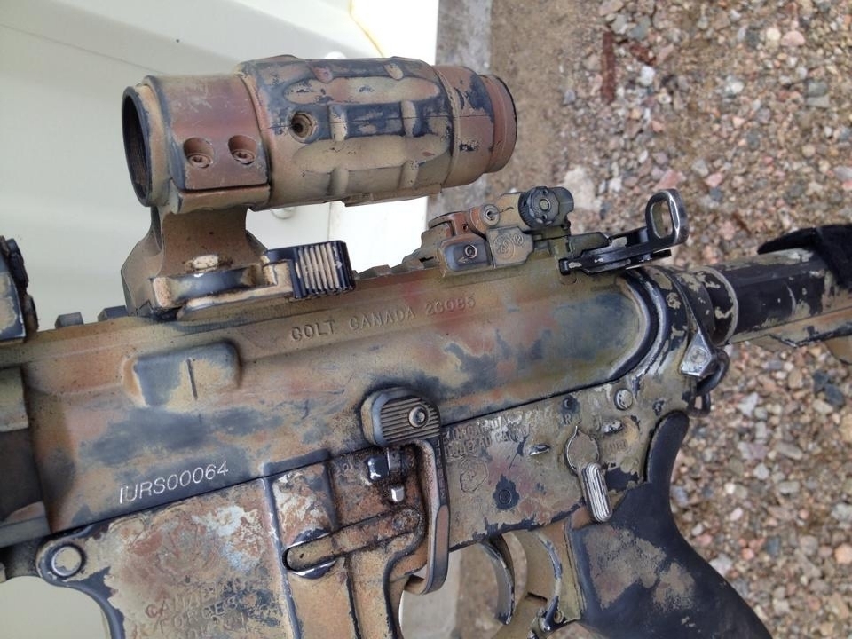 CANSOF IUR: In the Wild – The Reptile House