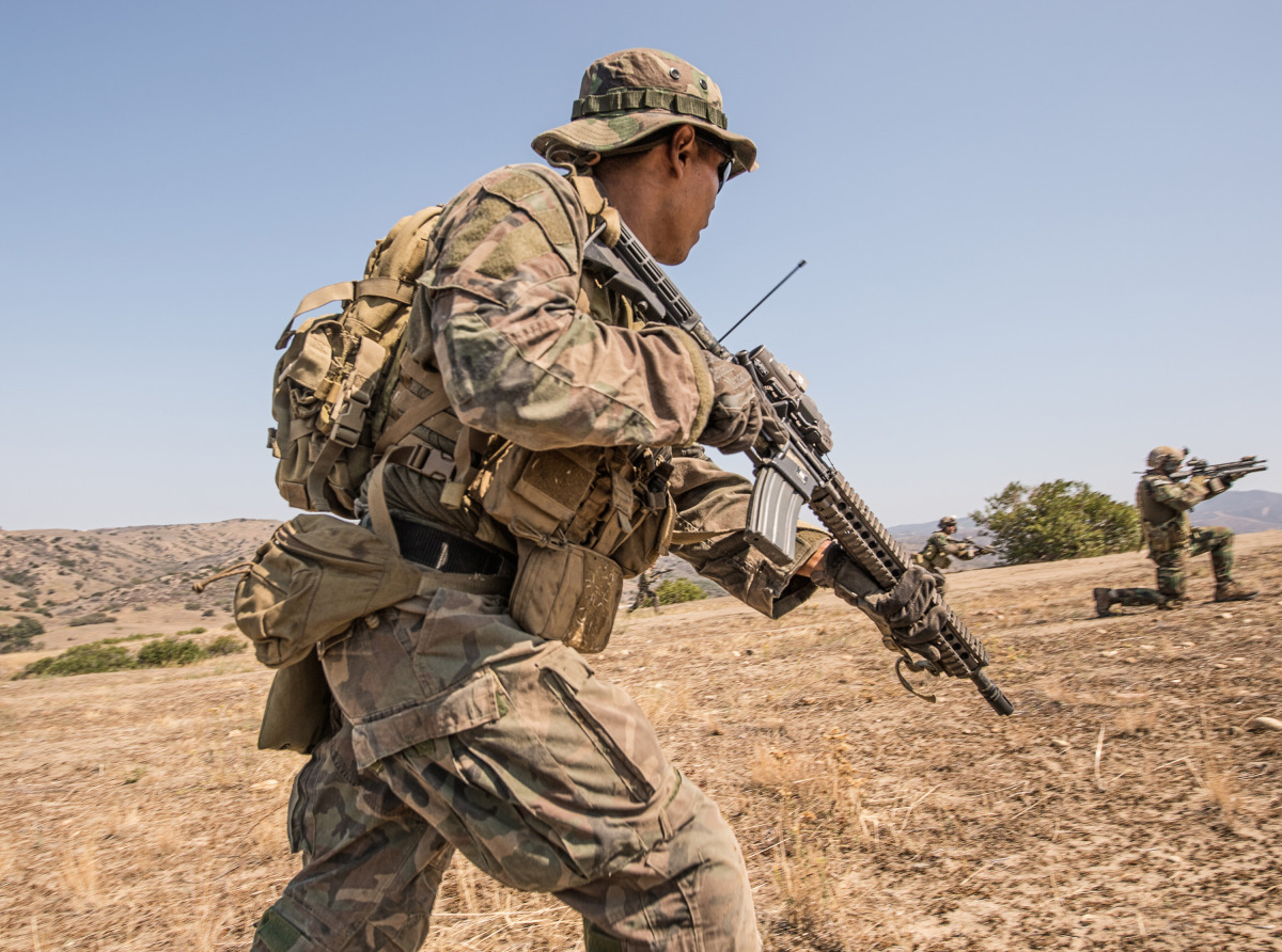 Trending: Haley D3CR – MARSOC – The Reptile House
