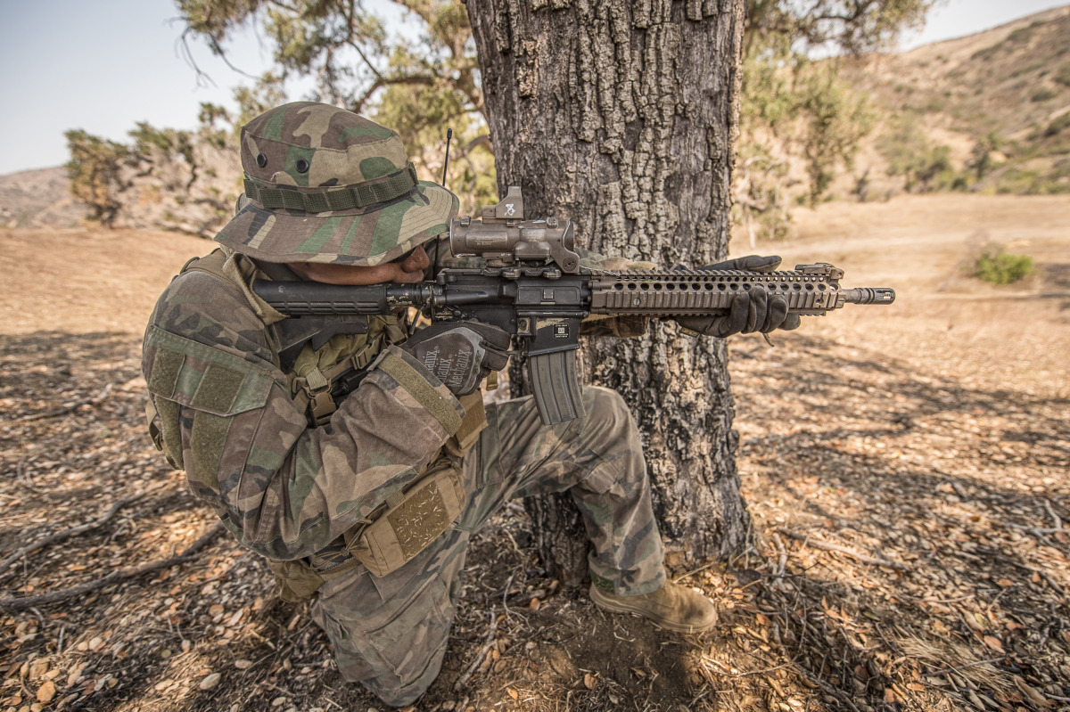 Trending: Haley D3CR – MARSOC – The Reptile House