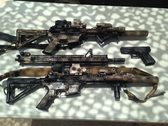 In The Wild: RIS II FSP – The Reptile House