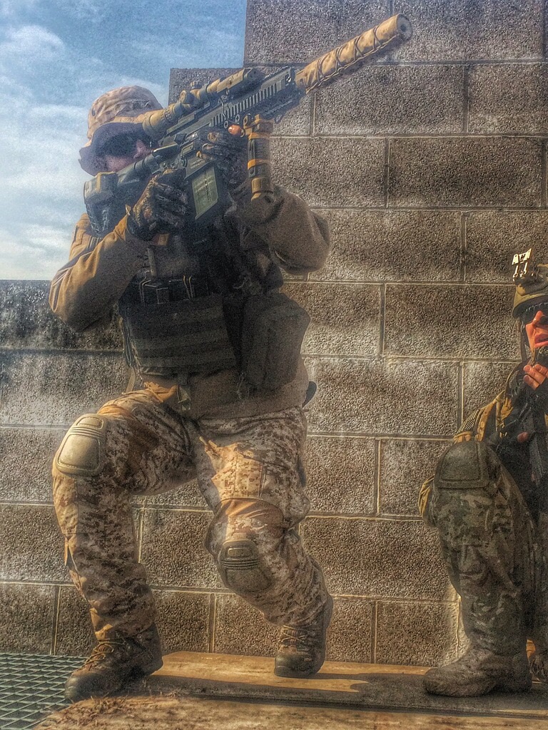 SEAL Locker: A Loadout Interview With Gray Fox’s F01 – The Reptile House