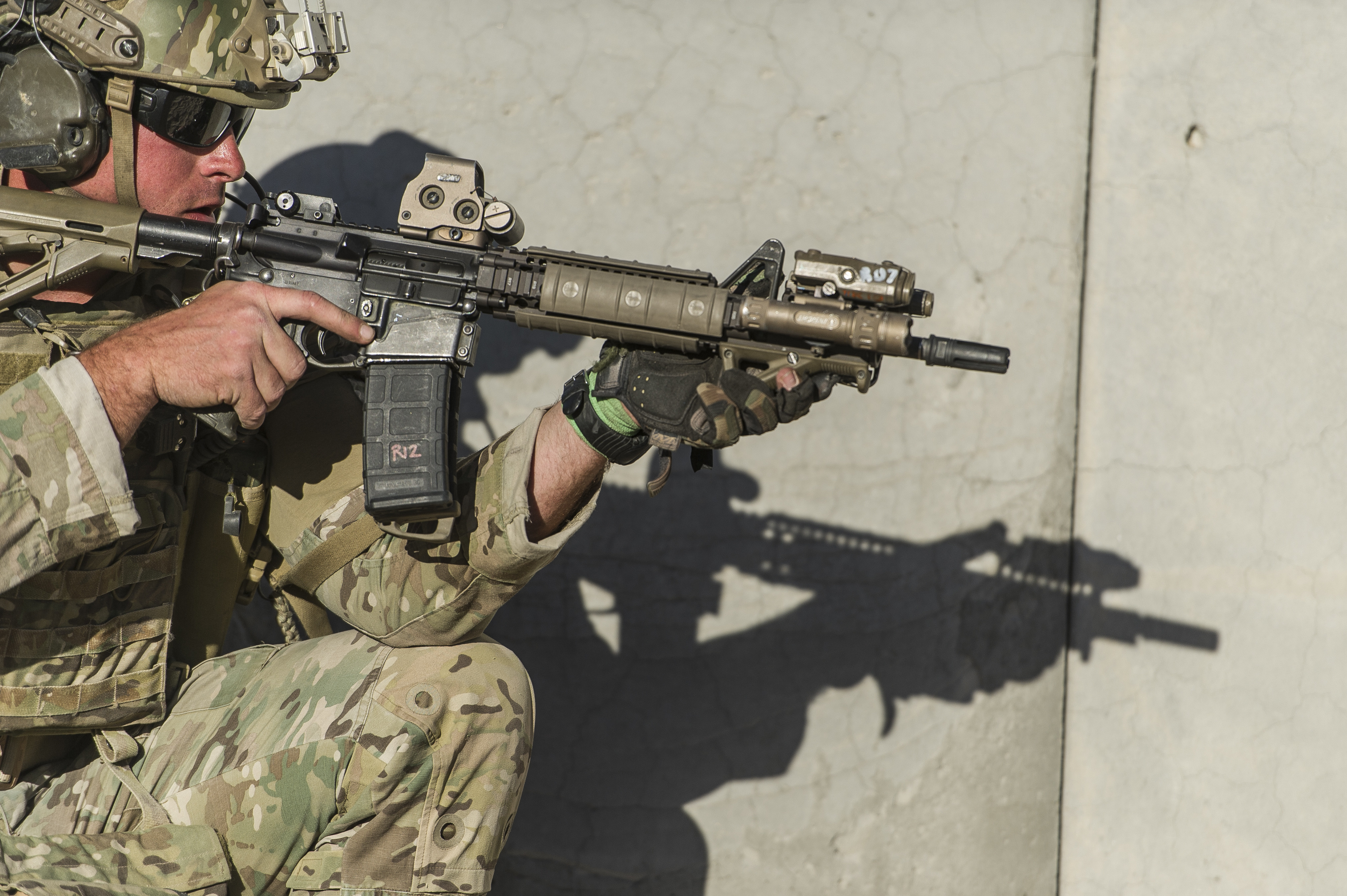 In The Wild: RIS II FSP – The Reptile House