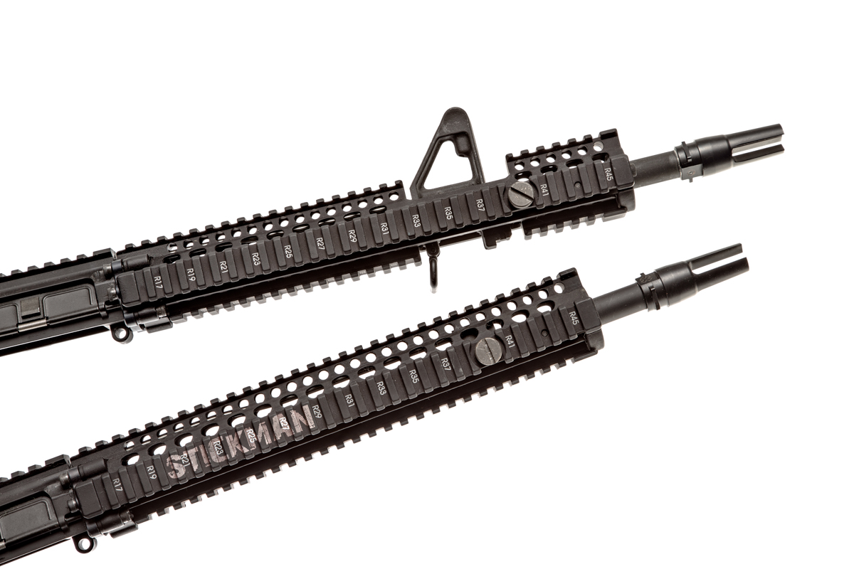 In The Wild: RIS II FSP – The Reptile House