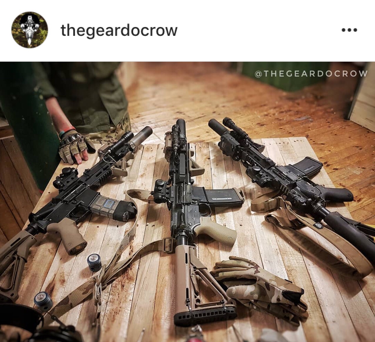 The Geardo Crow: HSP D3CRX M81 Review – The Reptile House