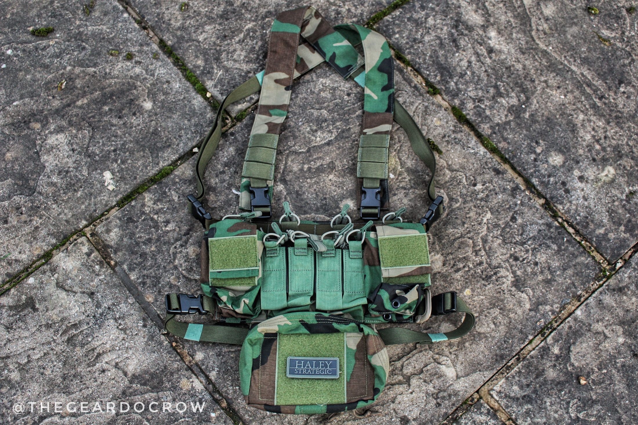 The Geardo Crow: HSP D3CRX M81 Review – The Reptile House