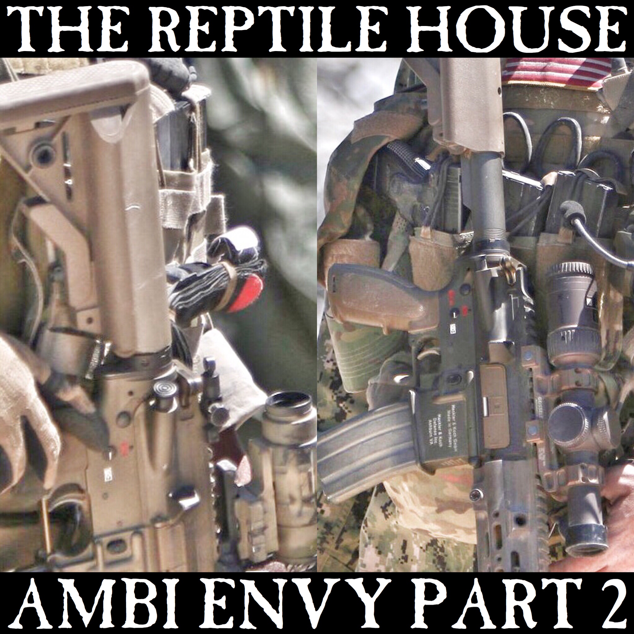In The Wild: CAG Fire Selector (Ambi Envy Part 2) – The Reptile House