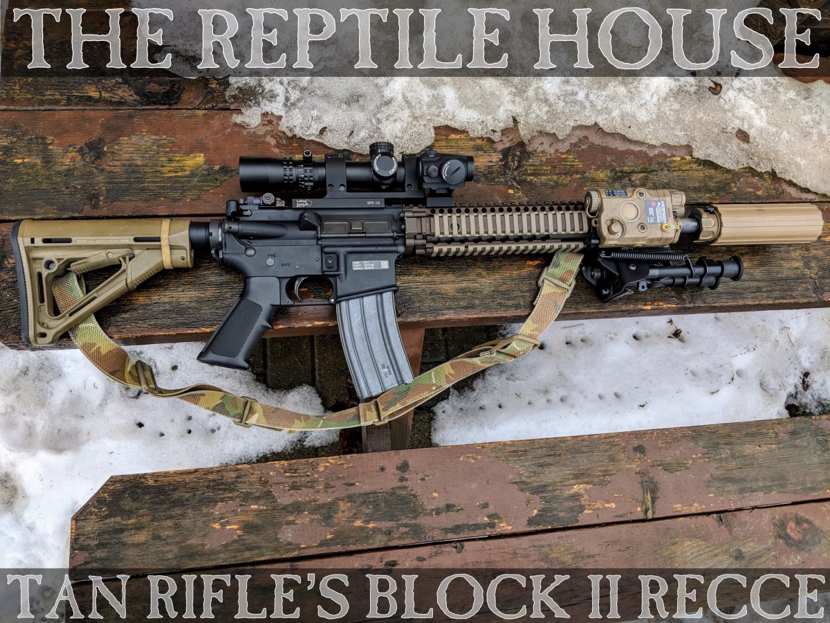 Tan Rifle’s Block II Recce – The Reptile House