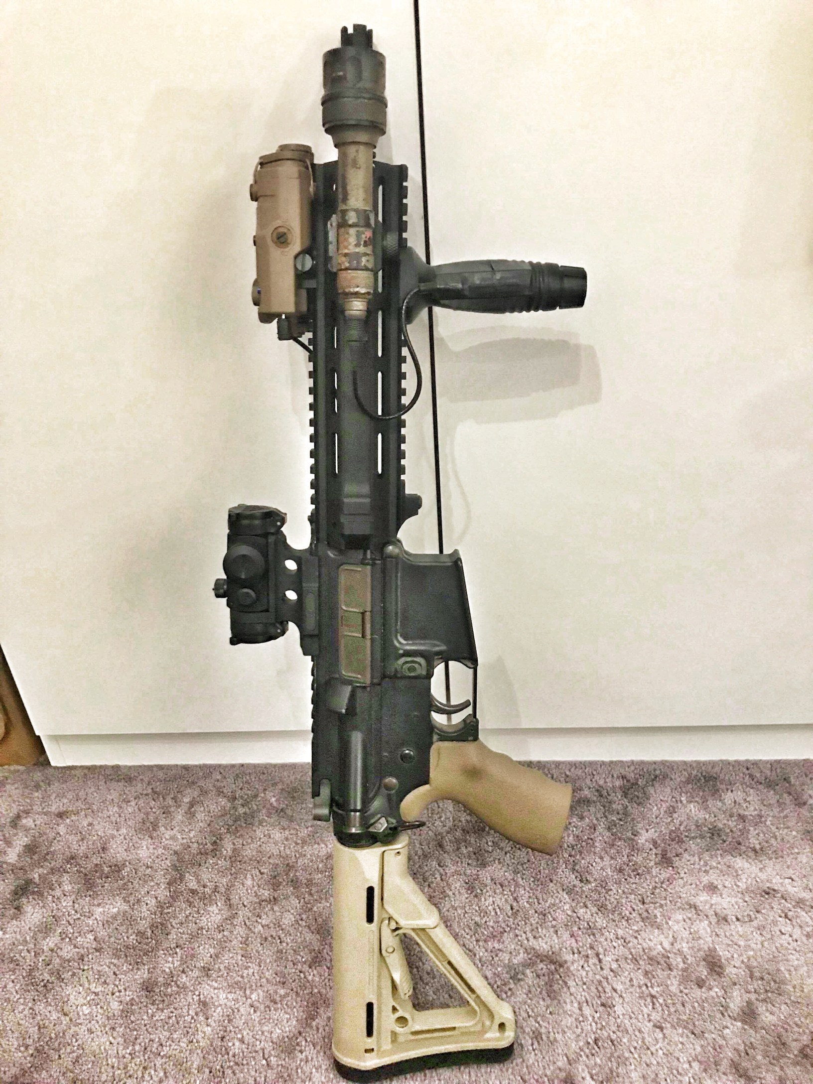 L119A2: Got Ergo? – The Reptile House