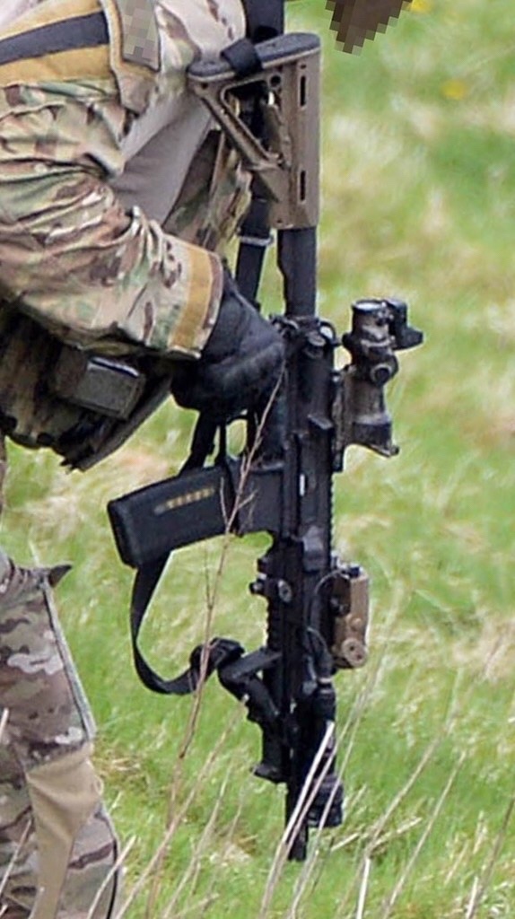 L119A2: Got Ergo? – The Reptile House