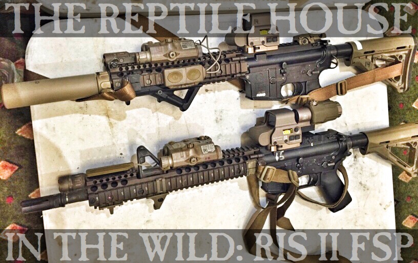 In The Wild: RIS II FSP – The Reptile House