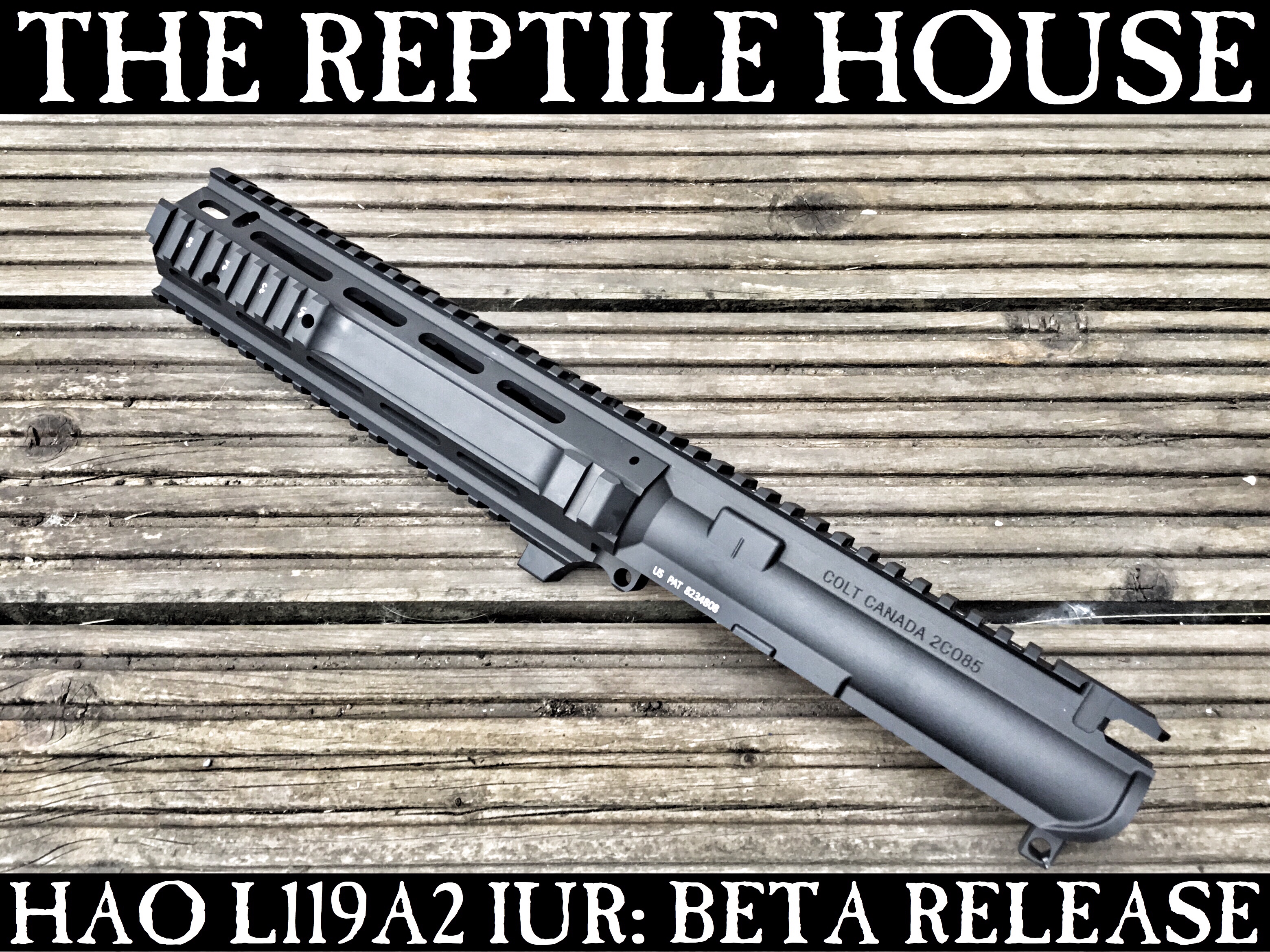 HAO PTW L119A2 IUR: Beta Release – Part 1 – The Reptile House
