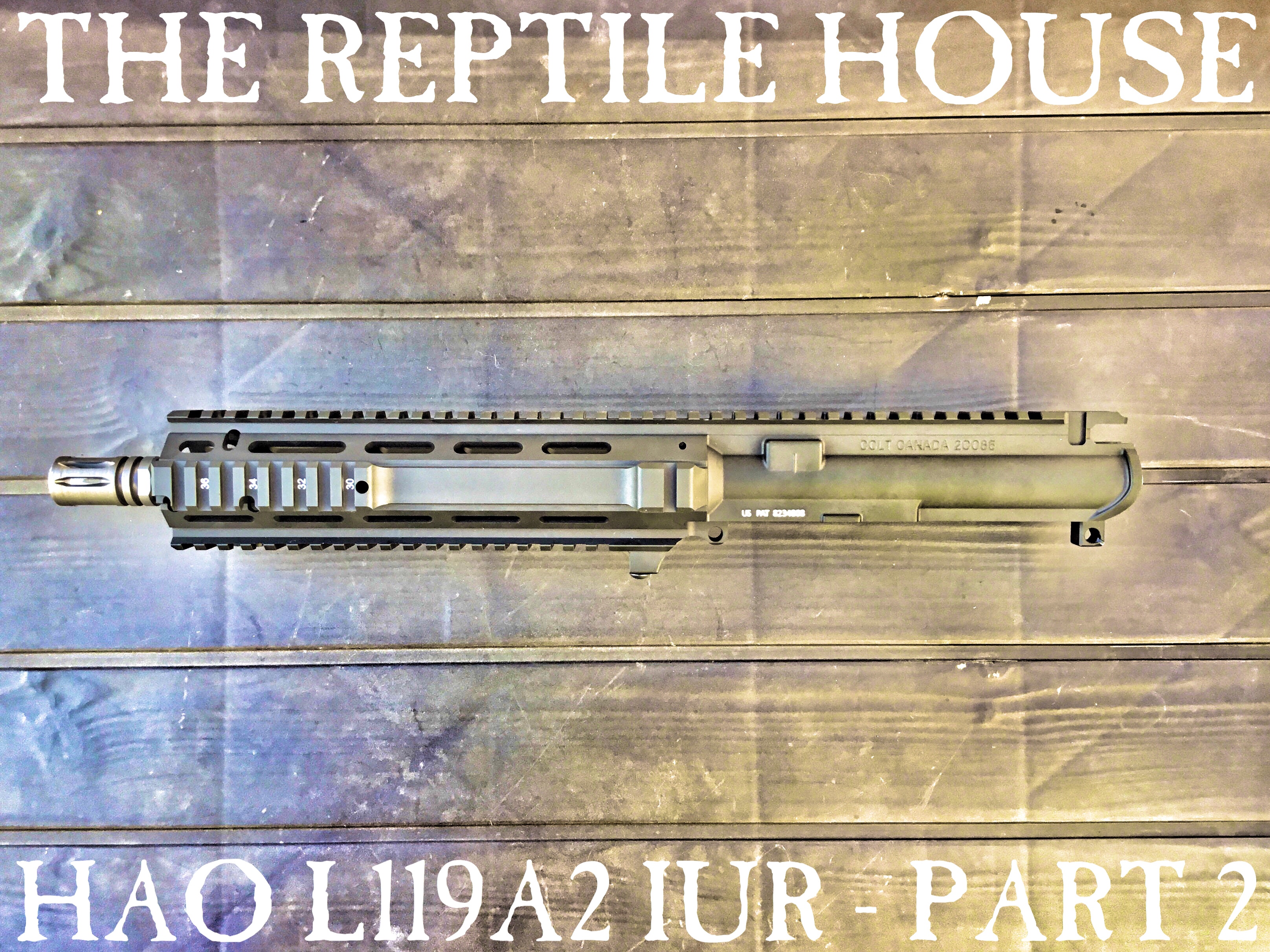 HAO PTW L119A2 IUR: Beta Release – Part 2 – The Reptile House