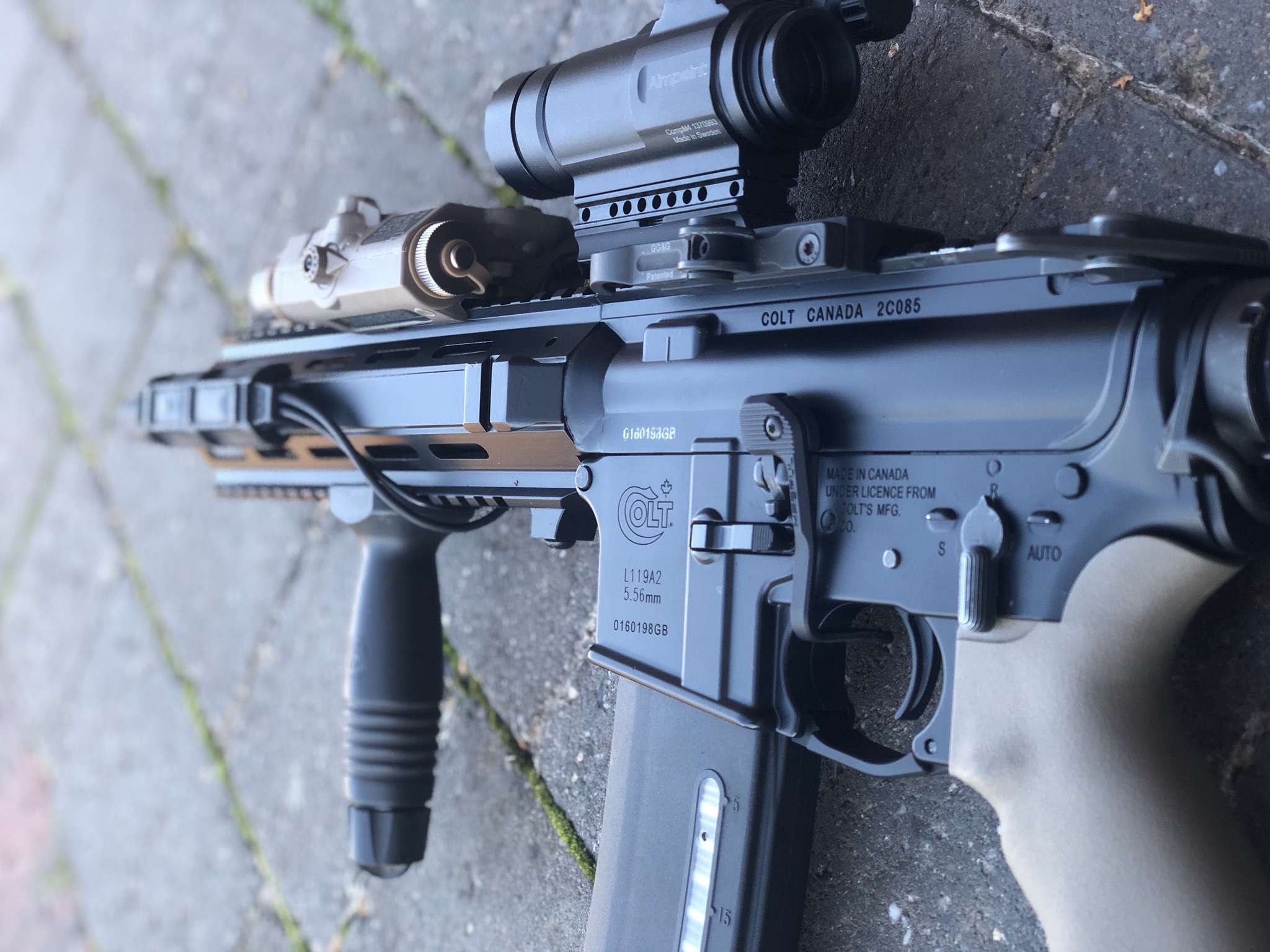 September 2018 – The Reptile House