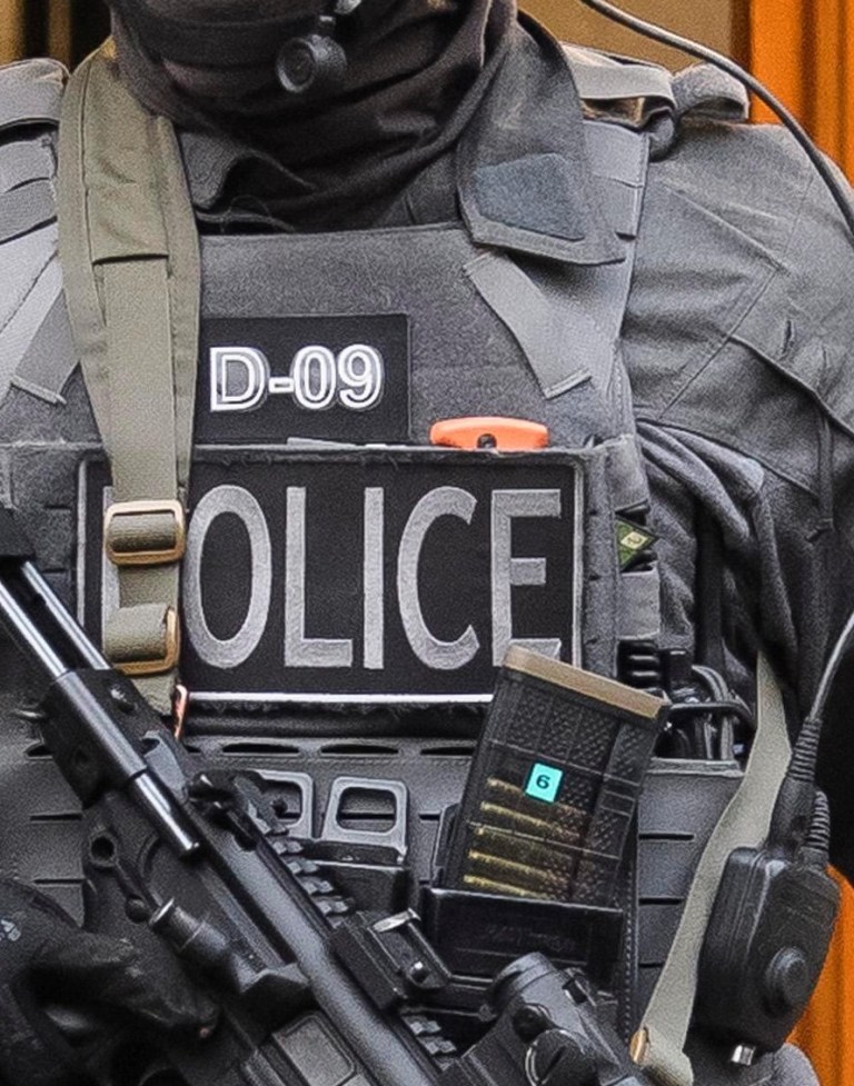 In The Wild: Ranger Green on Wolf Grey – The Reptile House