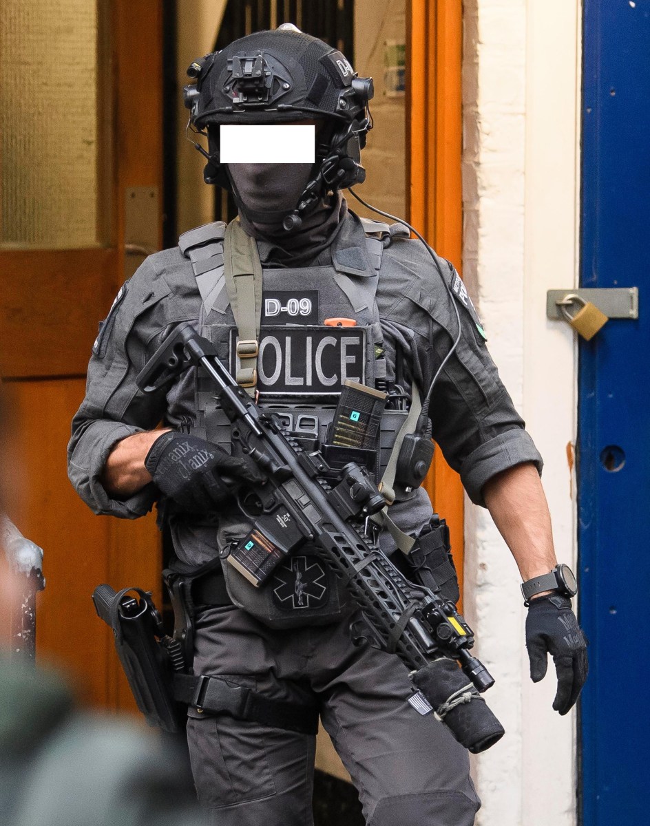 In The Wild: Ranger Green on Wolf Grey – The Reptile House