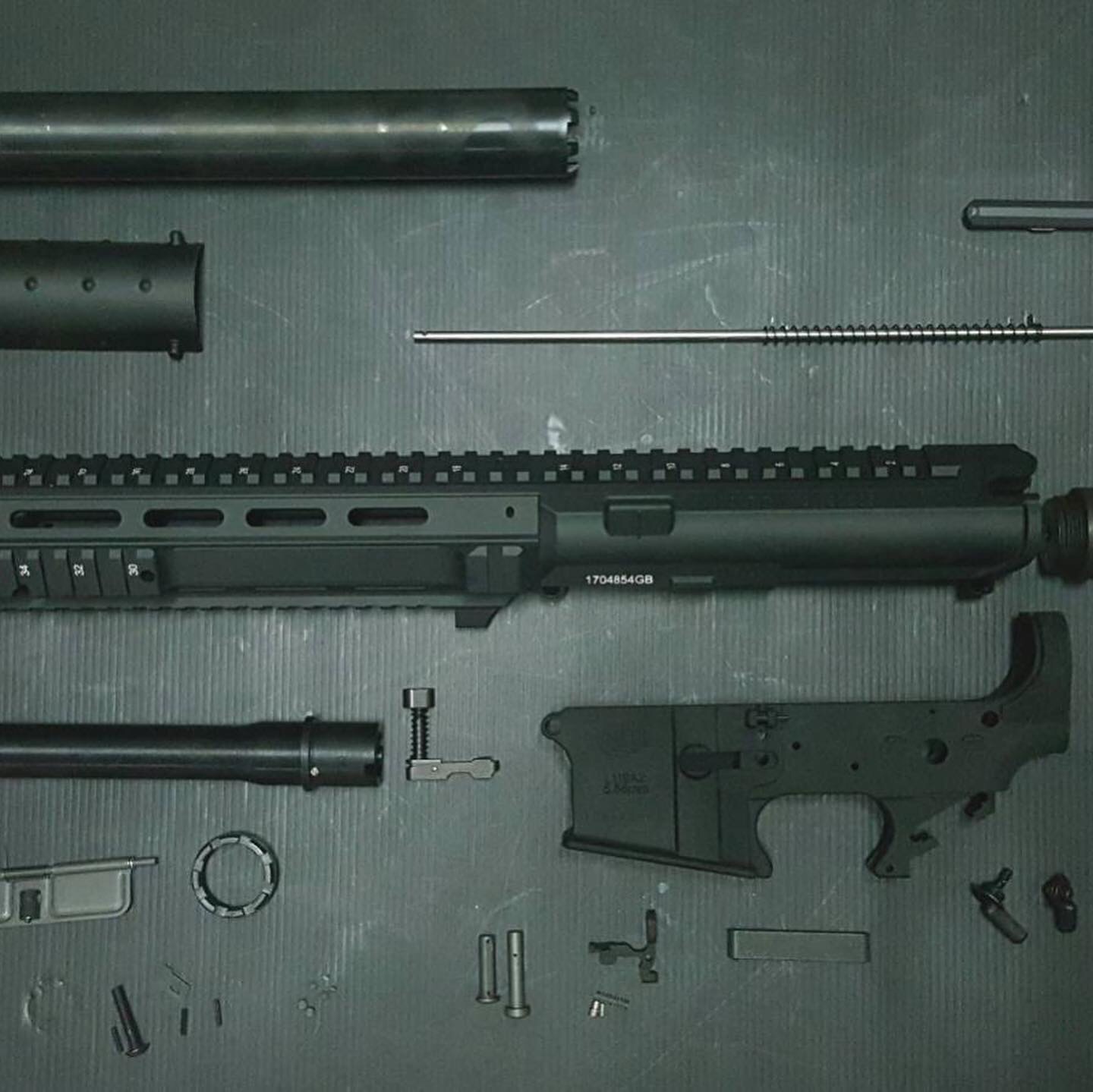 HAO L119A2 Full Kit: In Stock With Marco HAO – The Reptile House