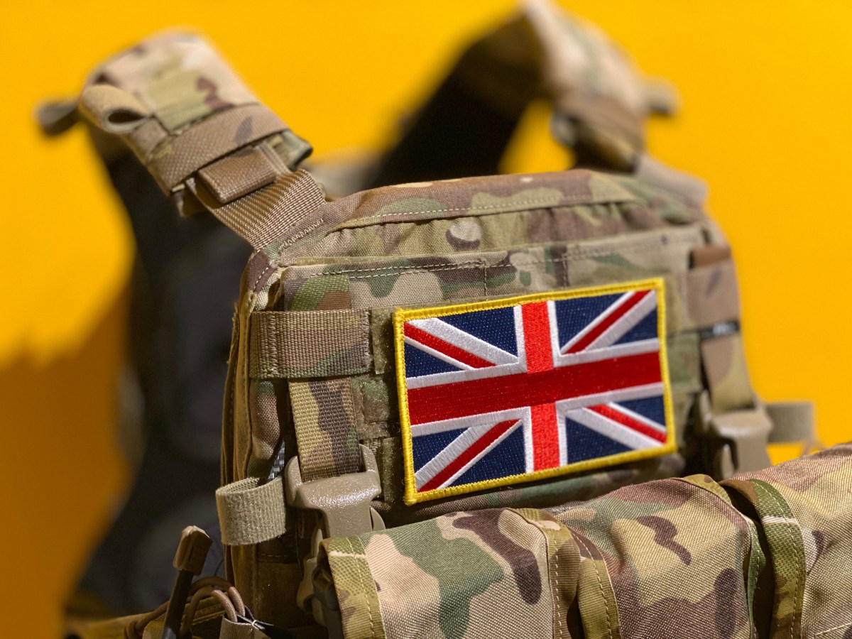 REVIEW: AXL Adaptive Vest Placard (AVP) for Crye AVS – The Reptile House