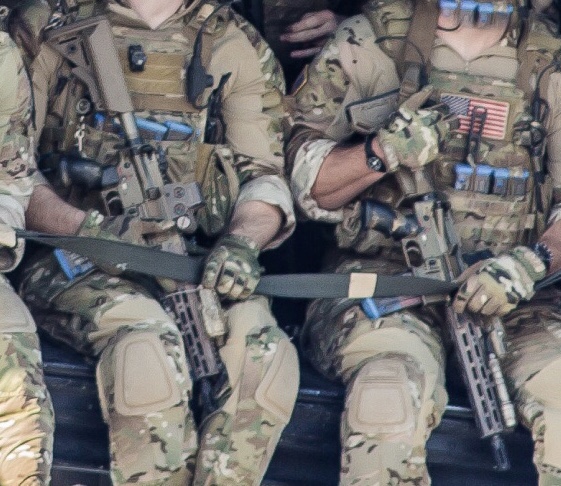 In The Wild: Tanodized CAG HK416D – Sierra Precision Grip – The Reptile ...