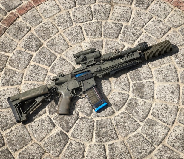 The Best Builds 2020: L119 Owners Club – The Reptile House