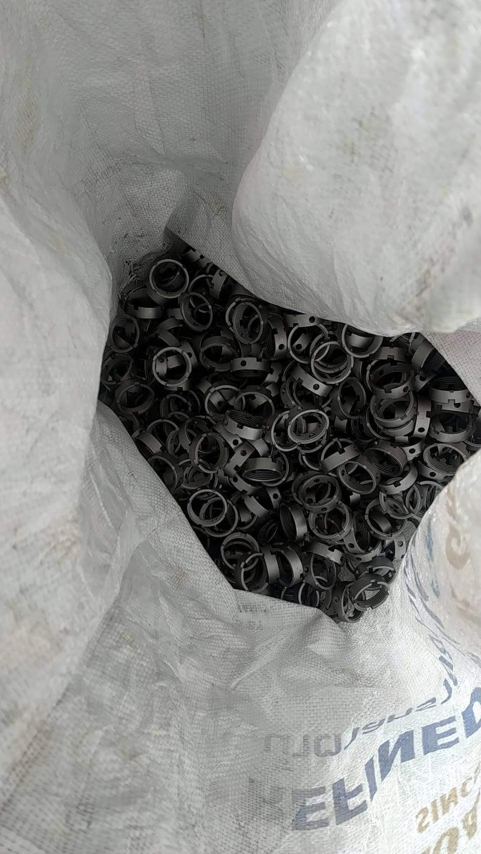 ZET System – The Reptile House