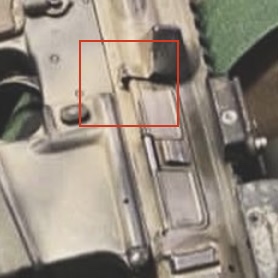 In The Wild: The LBT Pic – UKSF L119A2 – The Reptile House